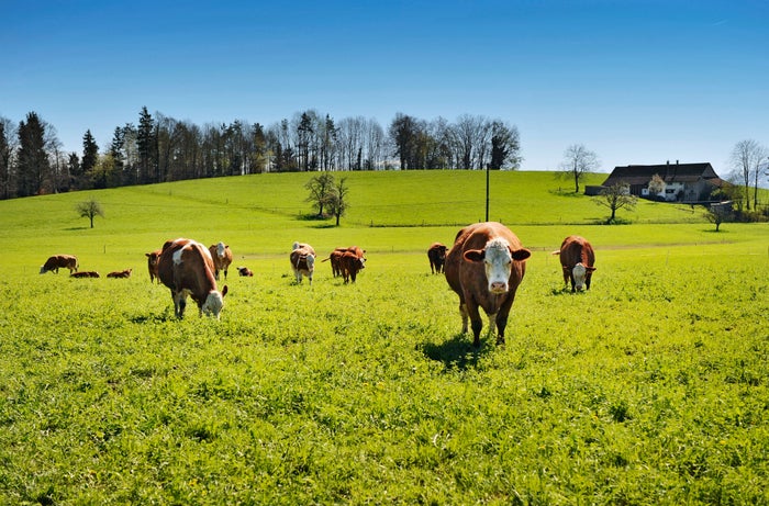 Ausflüge auf der Forch | ZVV